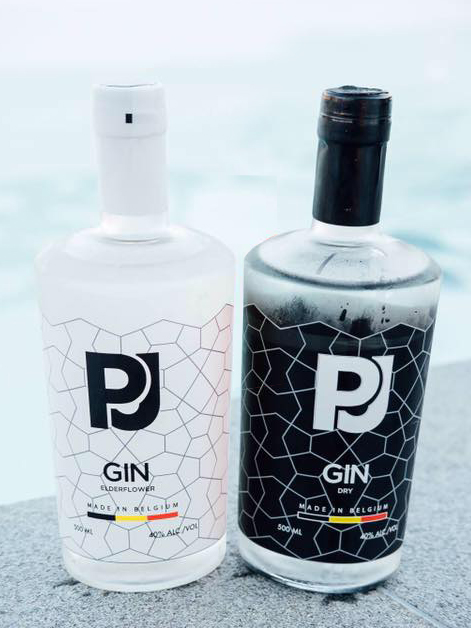 Lekkere Gin-Tonic met Gember | Belartisan